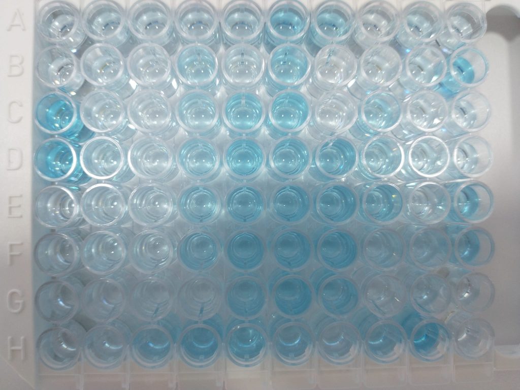 ELISA de Mycoplasma hyopneumoniae - Zenit